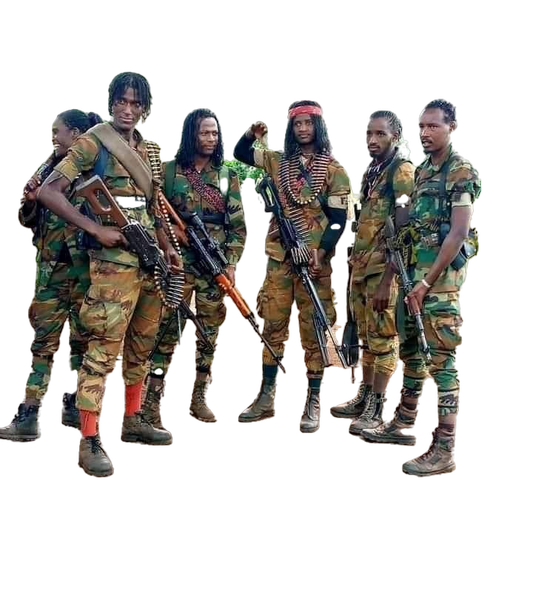 Finfinne News Network | Oromo Media